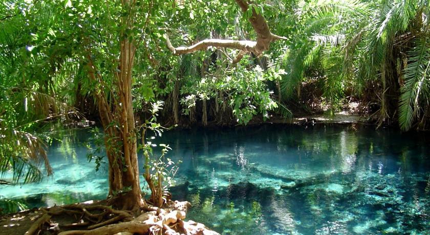 Chemka Hot Springs Day Tour | Natural Swimming Escape | El Classical ...